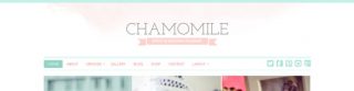 90+ Beautiful Feminine WordPress Themes for Women (2019)