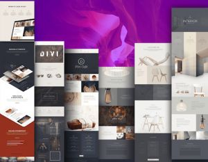 50+ Best Responsive WordPress Themes