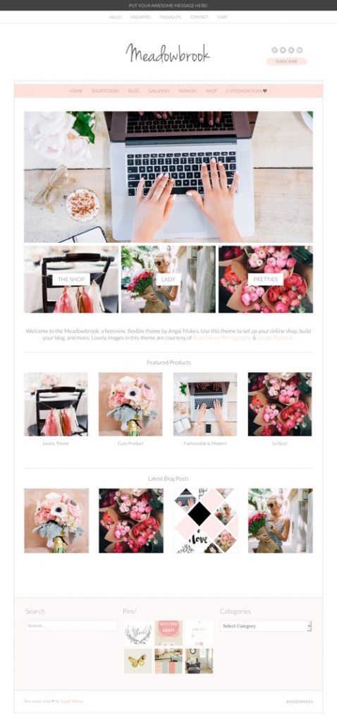 90+ Beautiful Feminine WordPress Themes for Women (2019)