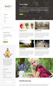90+ Beautiful Feminine WordPress Themes for Women (2019)