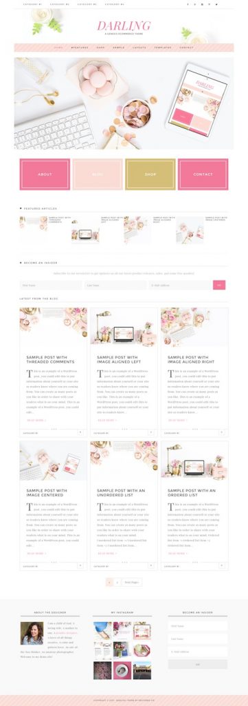 90+ Beautiful Feminine WordPress Themes for Women (2019)