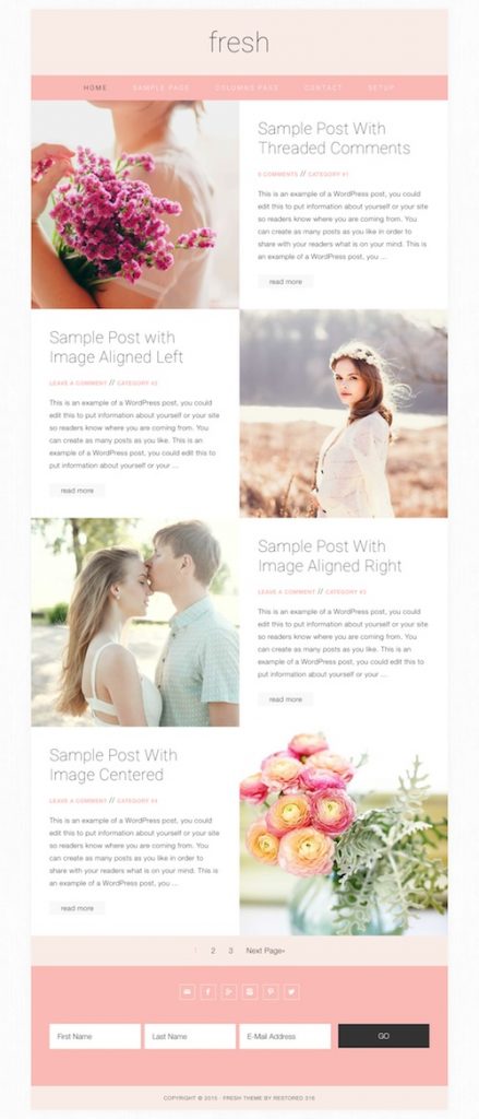 90+ Beautiful Feminine WordPress Themes for Women (2019)