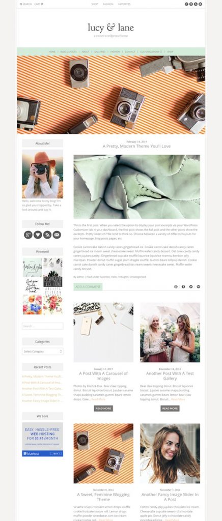 90+ Beautiful Feminine WordPress Themes for Women (2019)