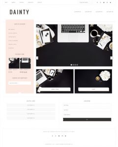 90+ Beautiful Feminine WordPress Themes for Women (2019)
