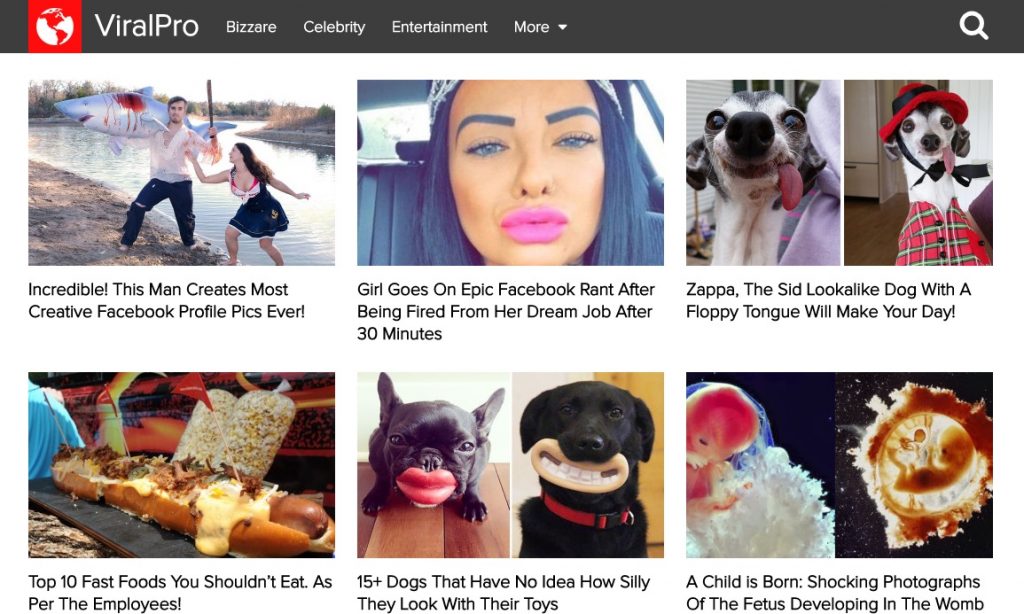 10+ Best Viral WordPress Themes 2019