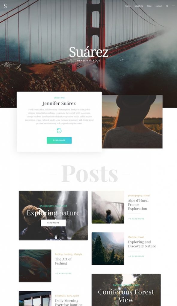 40+ Best Premium Blog WordPress Themes (2019)