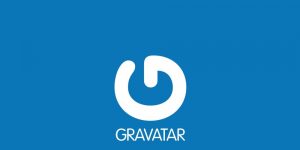 What is a Gravatar and How to Set Them Up on Your WordPress Site?